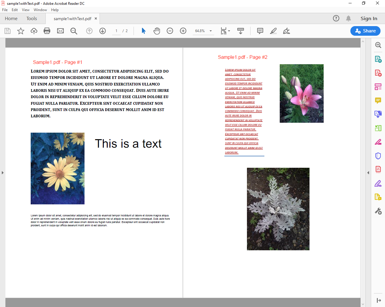 RPA Tools – Template Scenario 4: How to Add a Text to a PDF File ...